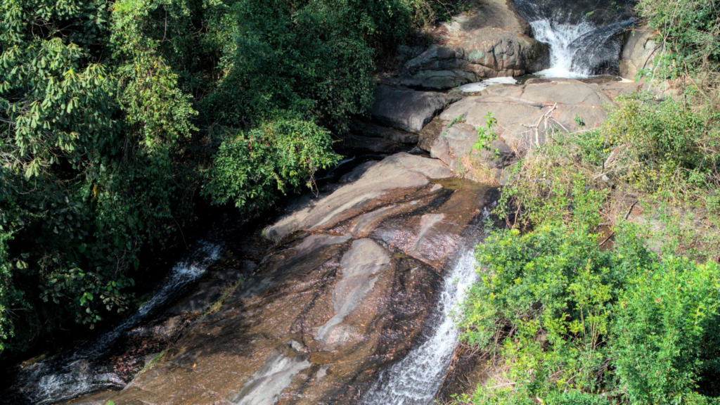 Reserva Florestal do Morro Grande agora é uma Unidade de Conservação de ...